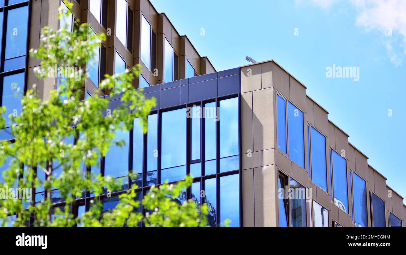 Eco architecture. Green tree and glass office building. The harmony of ...