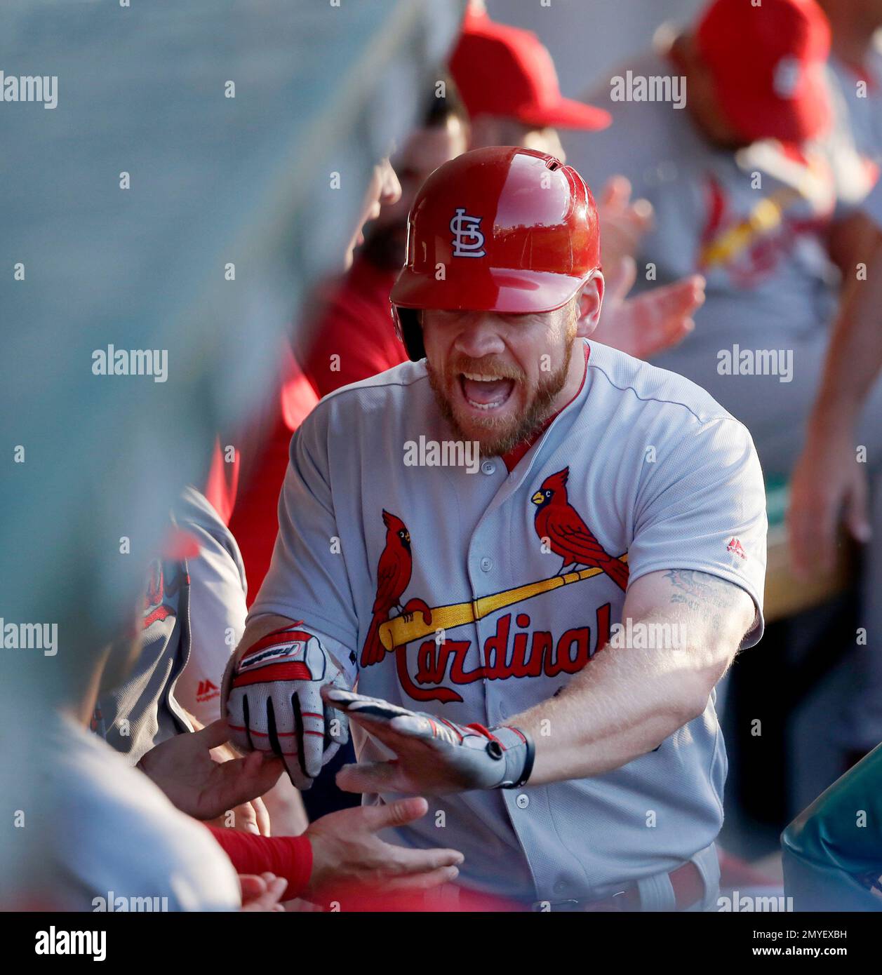 St. Louis Cardinals' Brandon Moss celebrates in the dugout after his ...