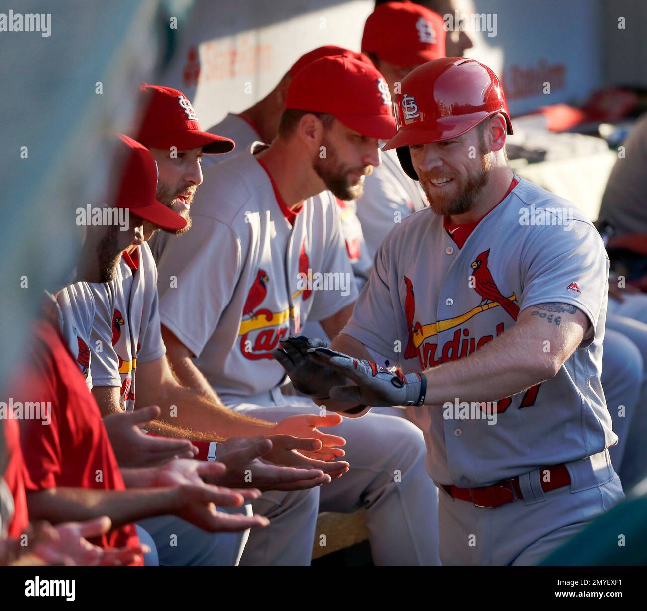 St. Louis Cardinals' Brandon Moss celebrates in the dugout after his ...