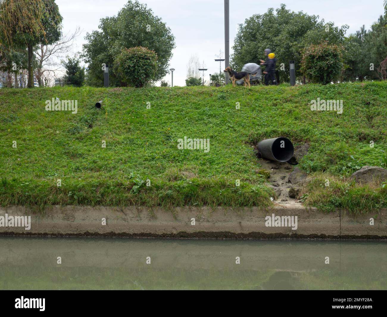 The pipe sticks out of the slope. Drainage of water from stormwater ...