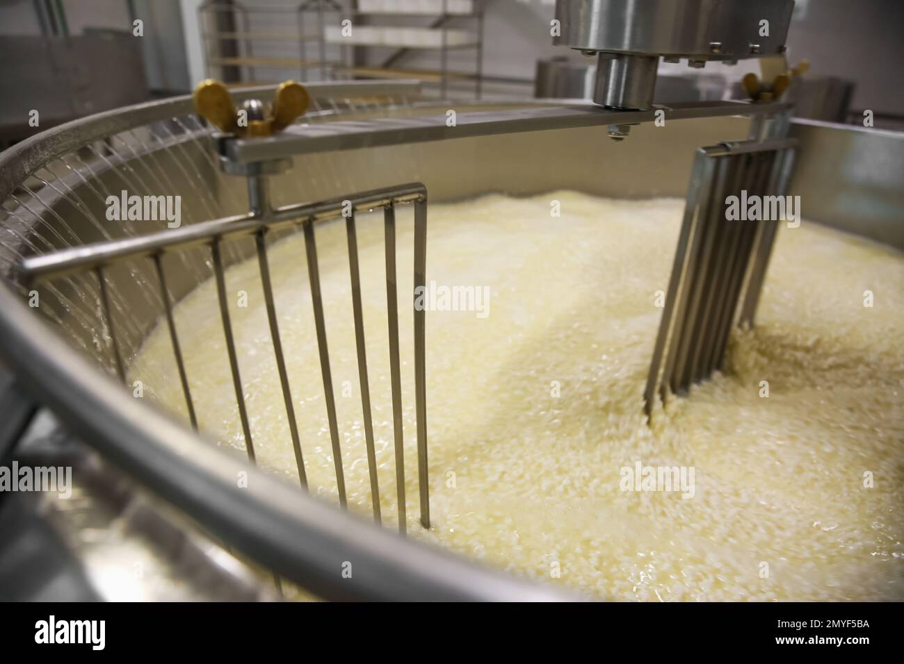 Adding water to curd and whey in tank at cheese factory, closeup Stock ...