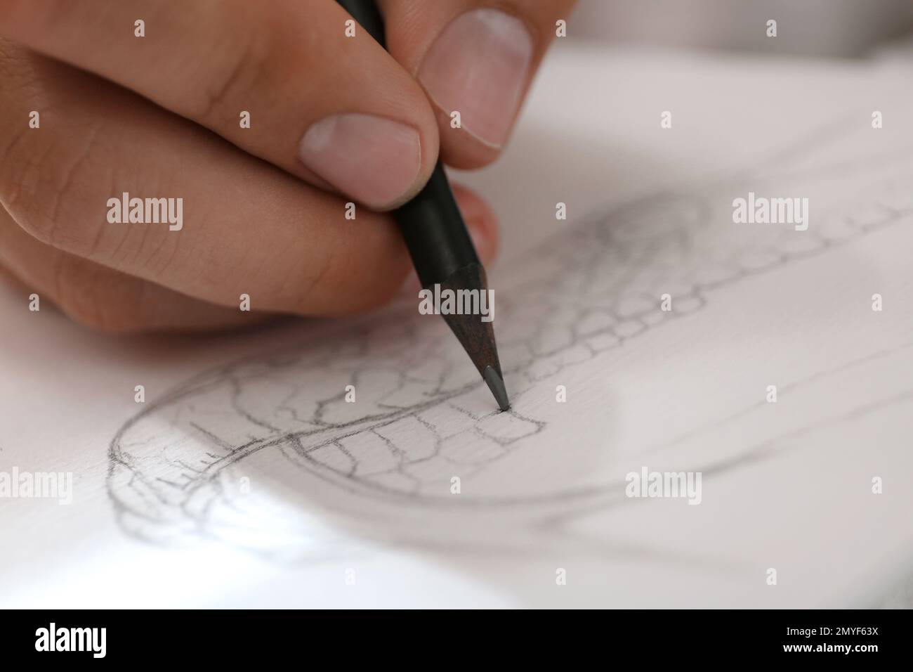 Man drawing snake with pencil in notepad, closeup Stock Photo - Alamy