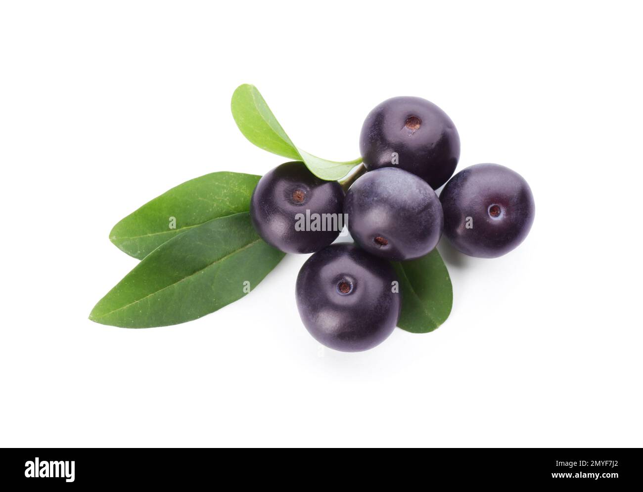 Pile of fresh acai berries with leaves isolated on white, top view ...