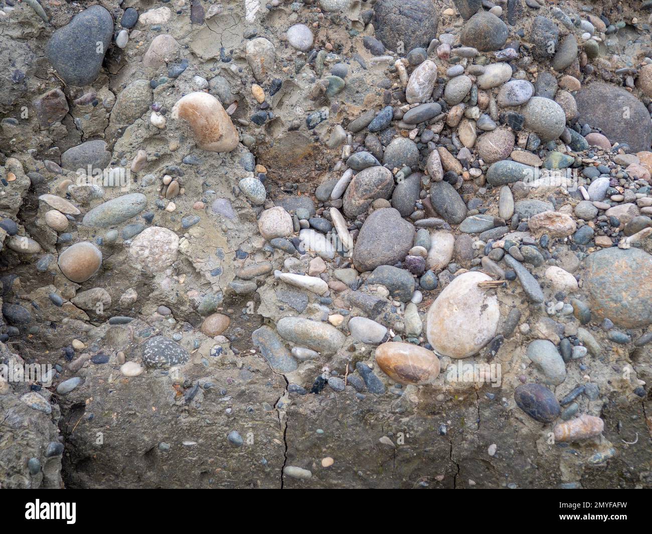 Layers of earth on a beach made of pebbles. Soil cut. Cobblestones and ...