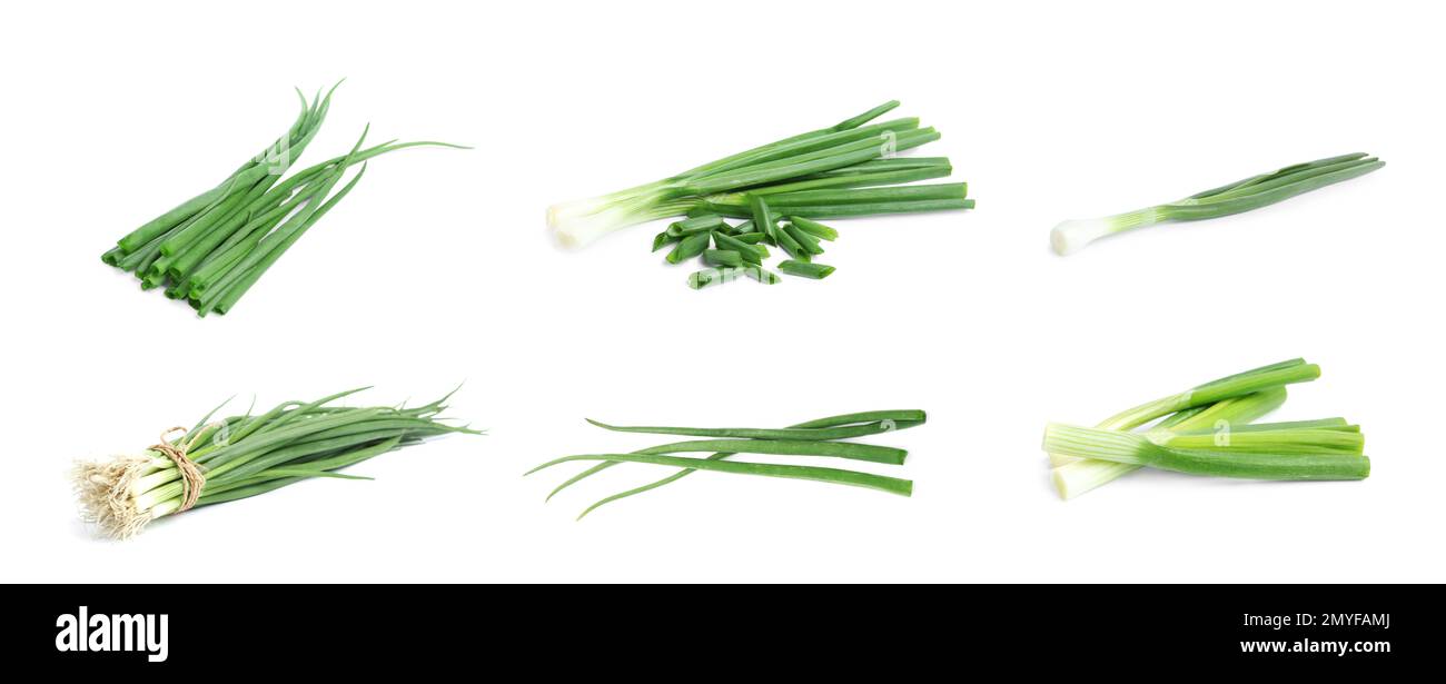 Collage with green spring onions on white background. Banner design ...