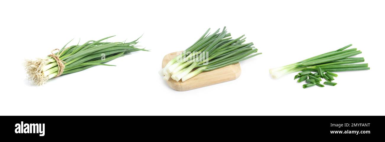 Collage with green spring onions on white background. Banner design ...