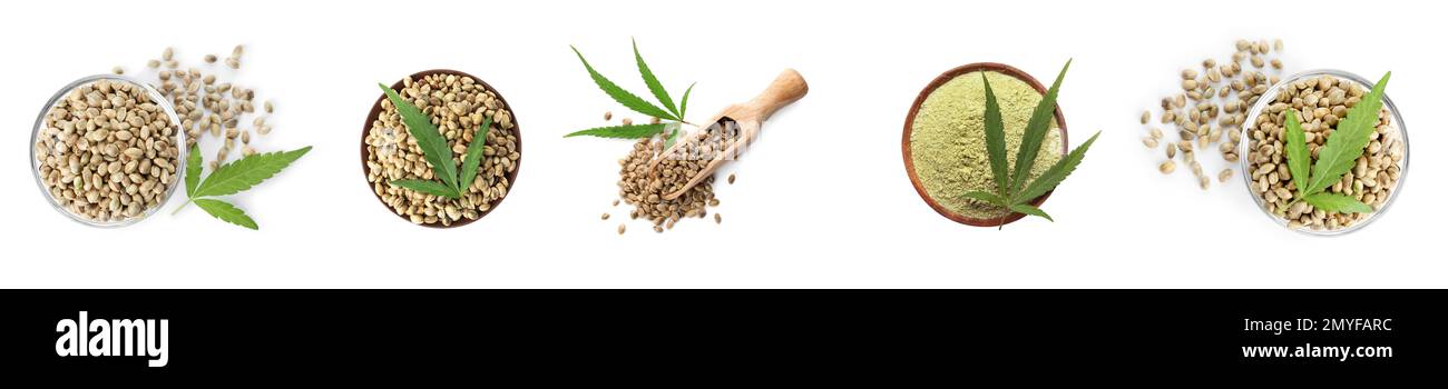 Collage with hemp seeds on white background, top view. Banner design ...