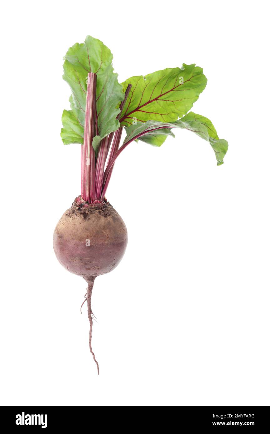 Whole fresh red beet with leaves isolated on white Stock Photo - Alamy