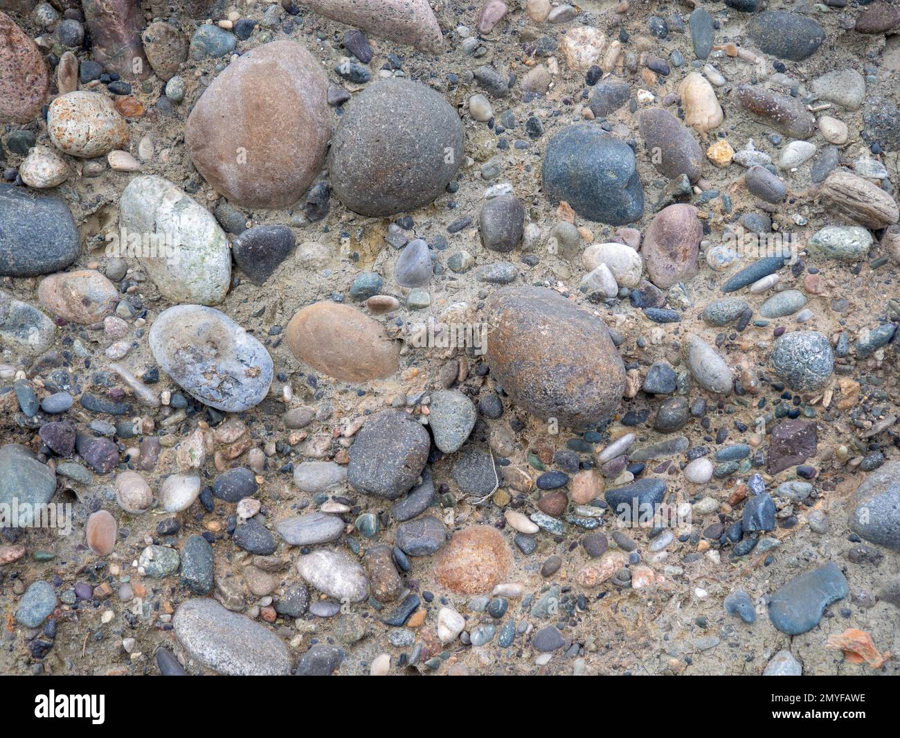 Layers of earth on a beach made of pebbles. Soil cut. Cobblestones and ...