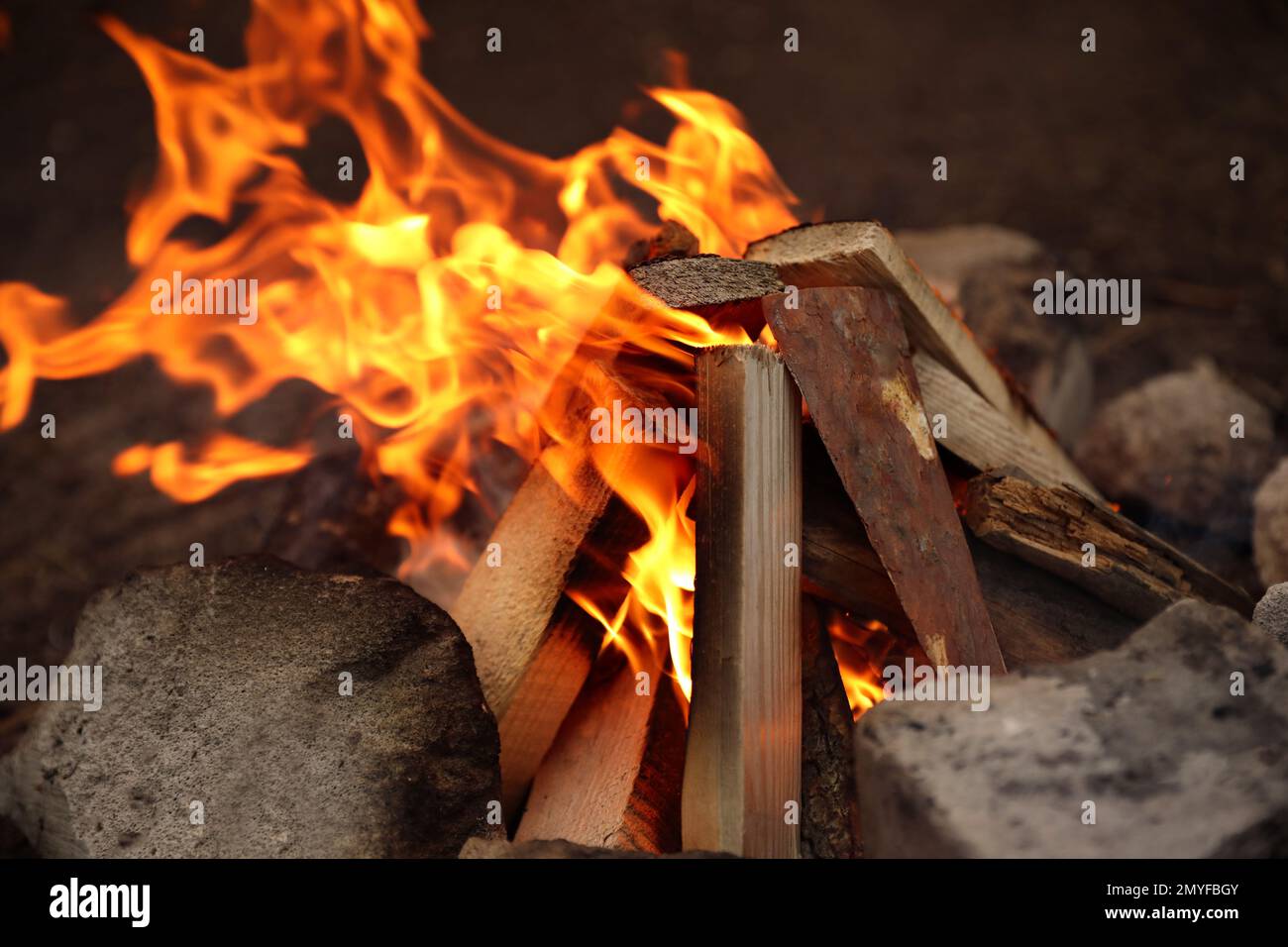 Beautiful bonfire with burning firewood outdoors, closeup Stock Photo ...