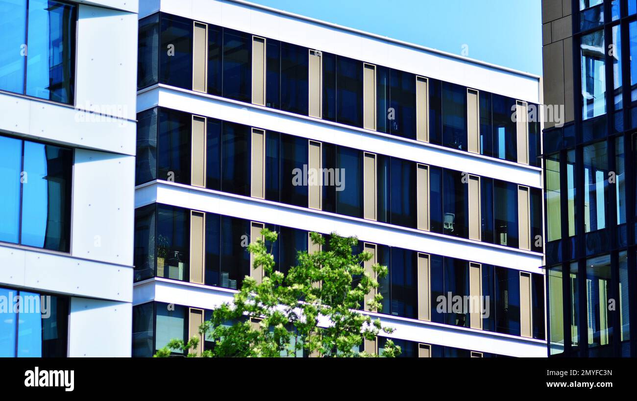 Eco architecture. Green tree and glass office building. The harmony of ...