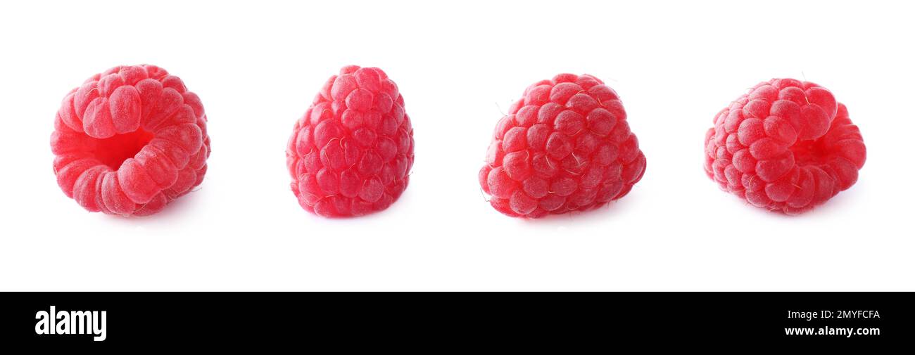 Set of fresh raspberries on white background. Banner design Stock Photo ...