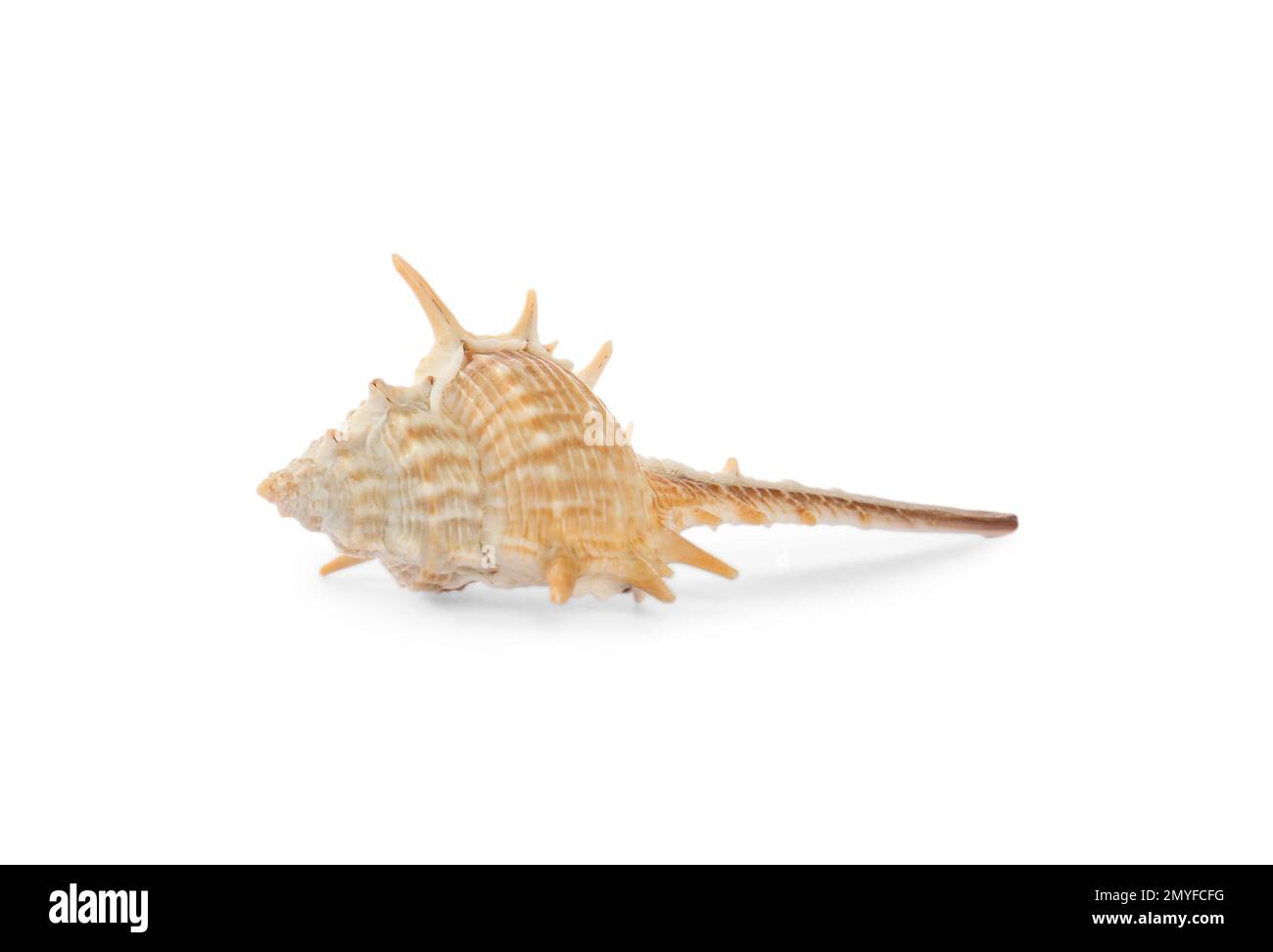 Beautiful sea shore Cut Out Stock Images & Pictures - Alamy