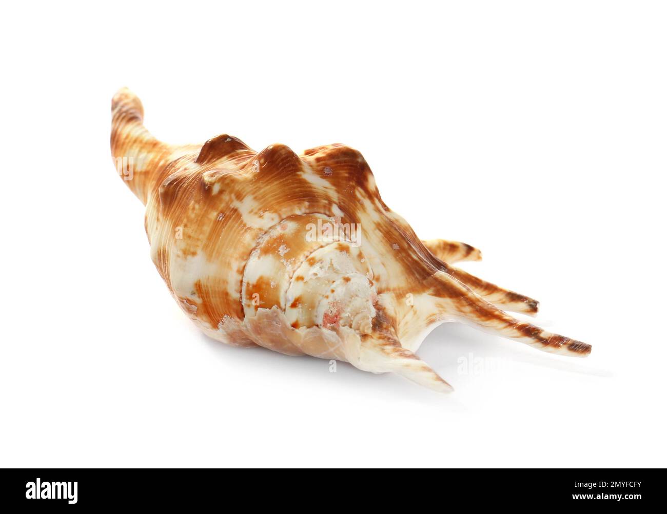 Beautiful sea shore Cut Out Stock Images & Pictures - Alamy