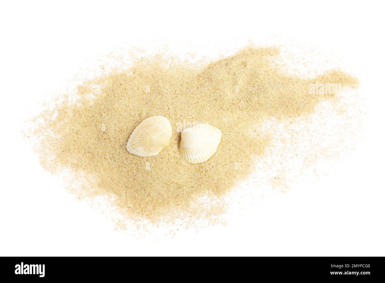 Beautiful sea shells and sand on white background, top view Stock Photo ...