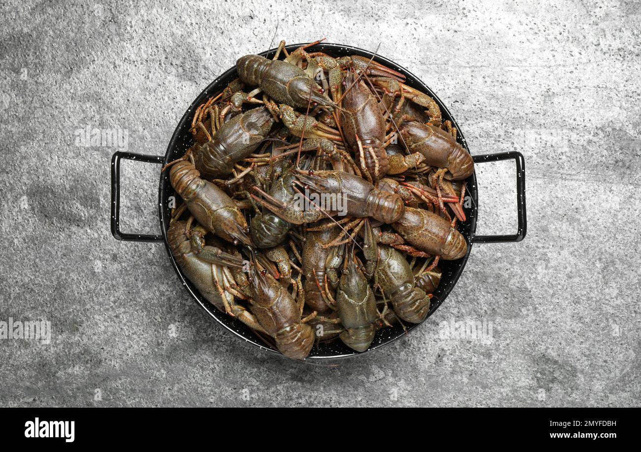Fresh raw crayfishes on grey table, top view Stock Photo - Alamy