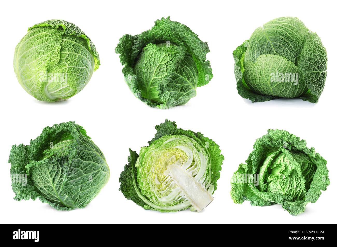 Set of various fresh ripe cabbages on white background Stock Photo - Alamy