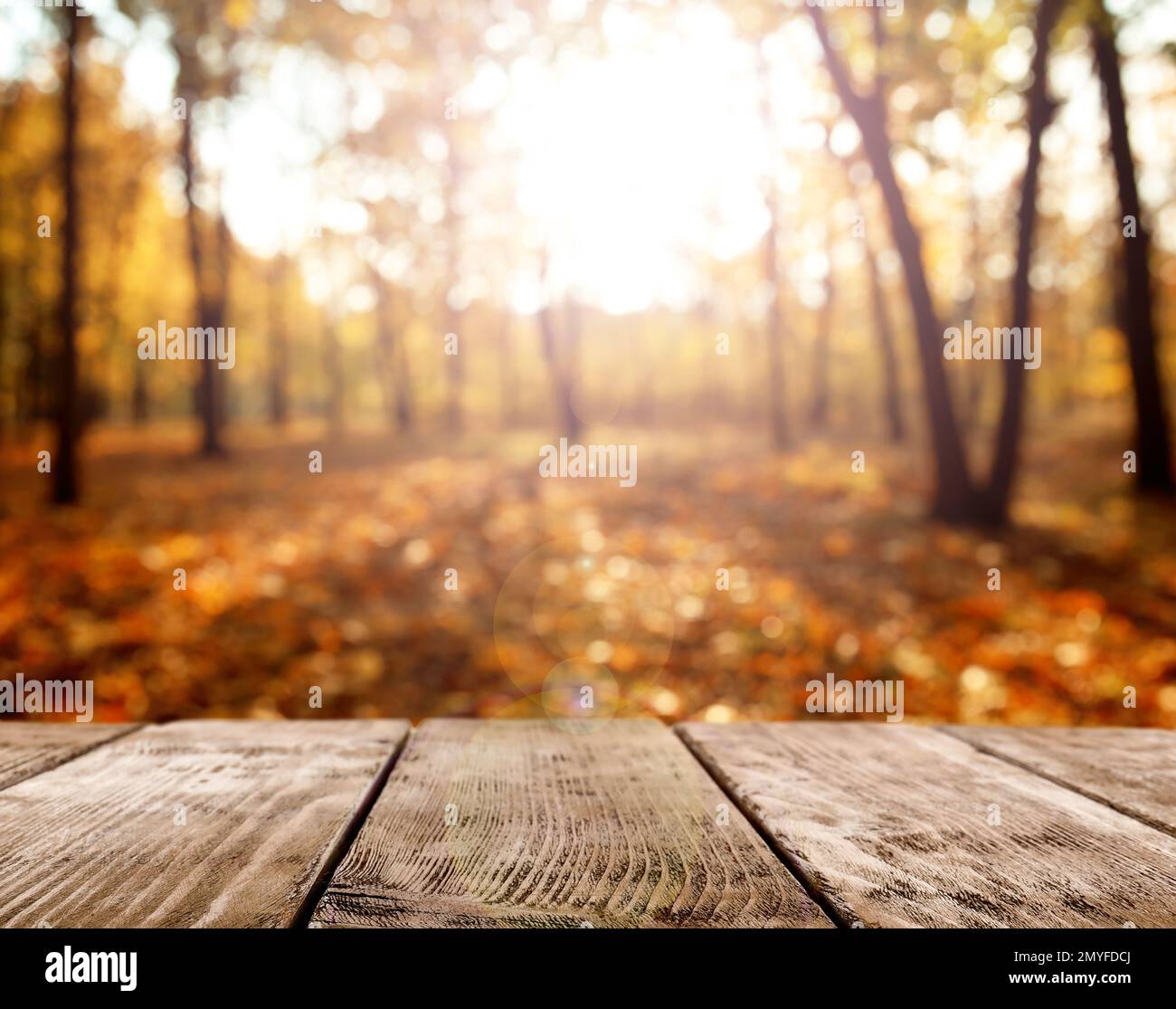Beautiful rustic park table hi-res stock photography and images - Alamy