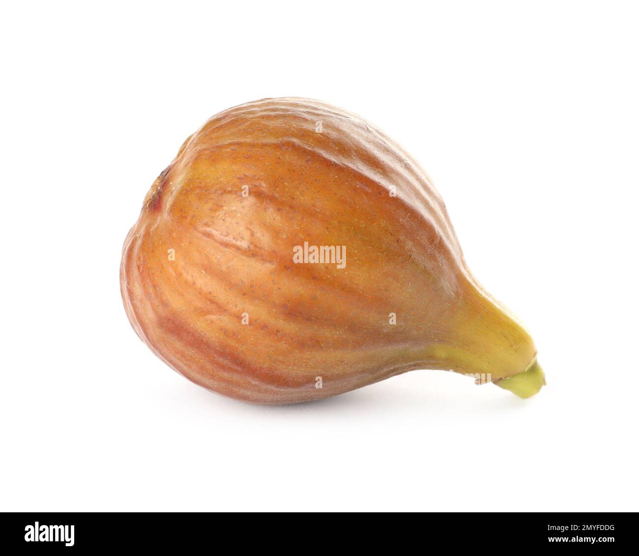 Beautiful ripe fig on hi-res stock photography and images - Alamy
