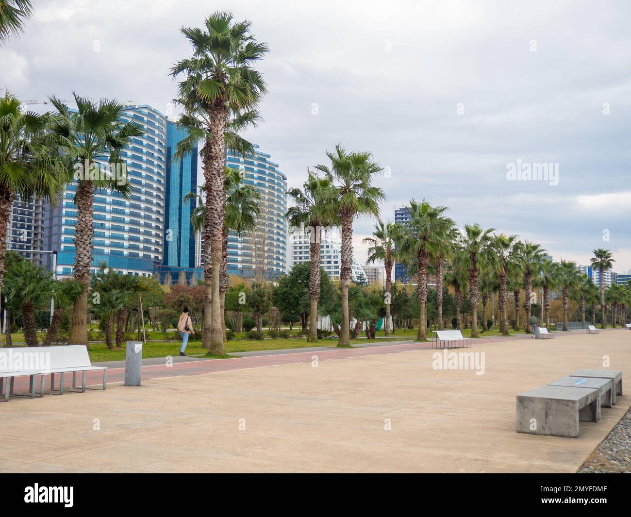 Coast of Batumi. Coast of the Black Sea with palm trees and hotels ...