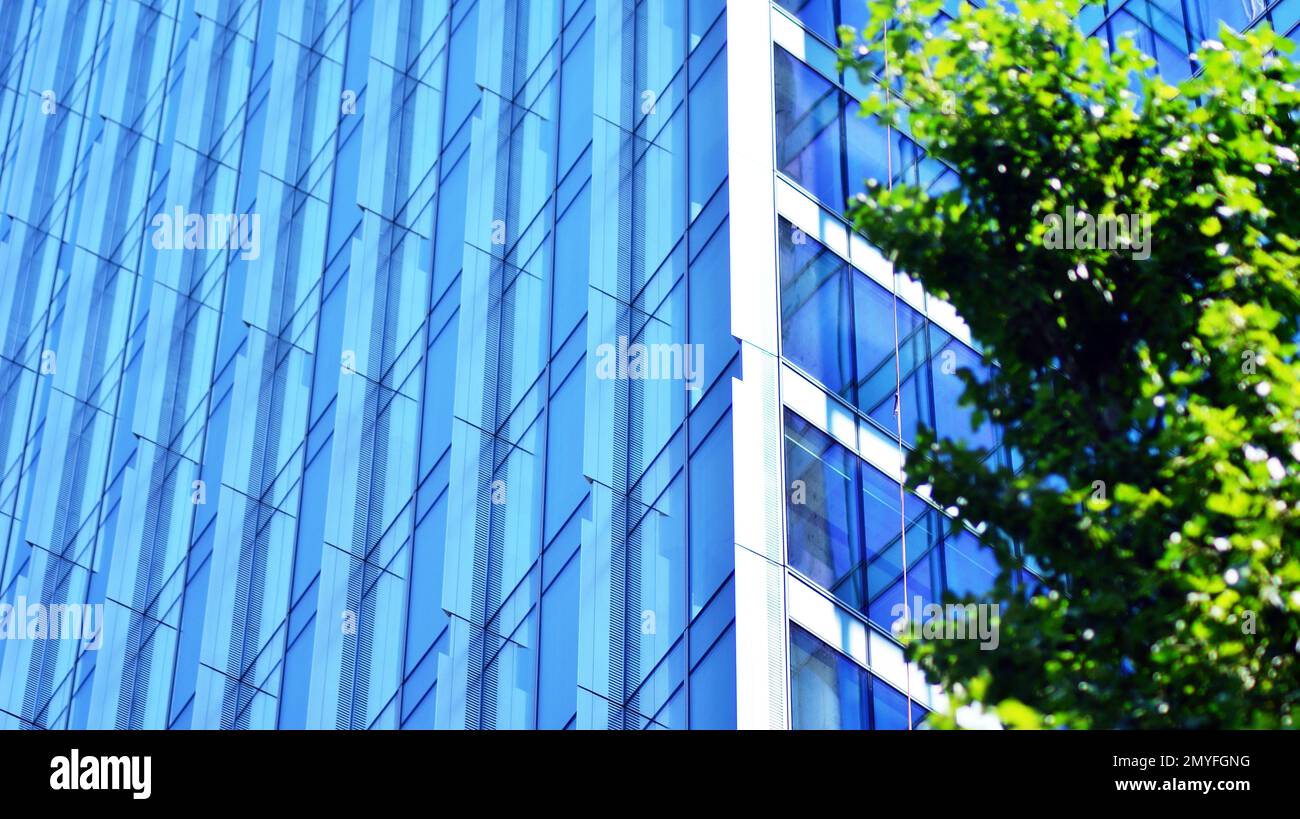 Eco architecture. Green tree and glass office building. The harmony of ...