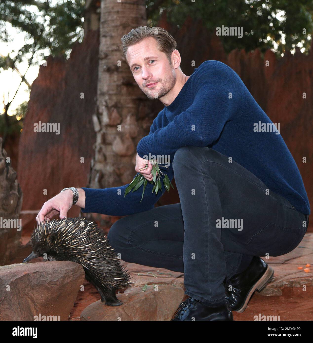 Actor Alexander Skarsgard, who plays Tarzan in The Legend of Tarzan ...