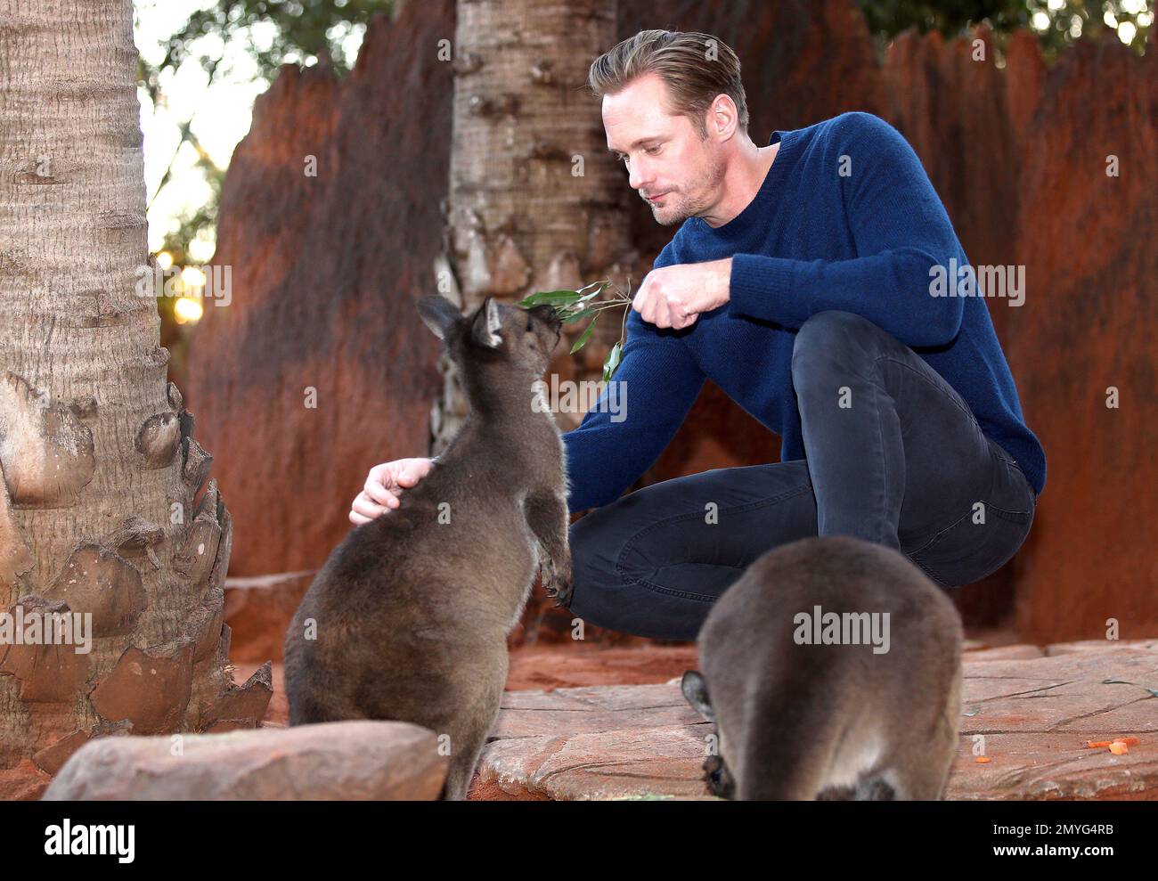 Actor Alexander Skarsgard, who plays Tarzan in The Legend of Tarzan ...