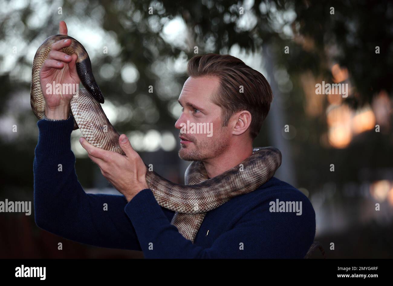 Actor Alexander Skarsgard, who plays Tarzan in The Legend of Tarzan ...