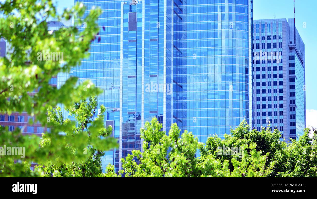 Eco architecture. Green tree and glass office building. The harmony of ...