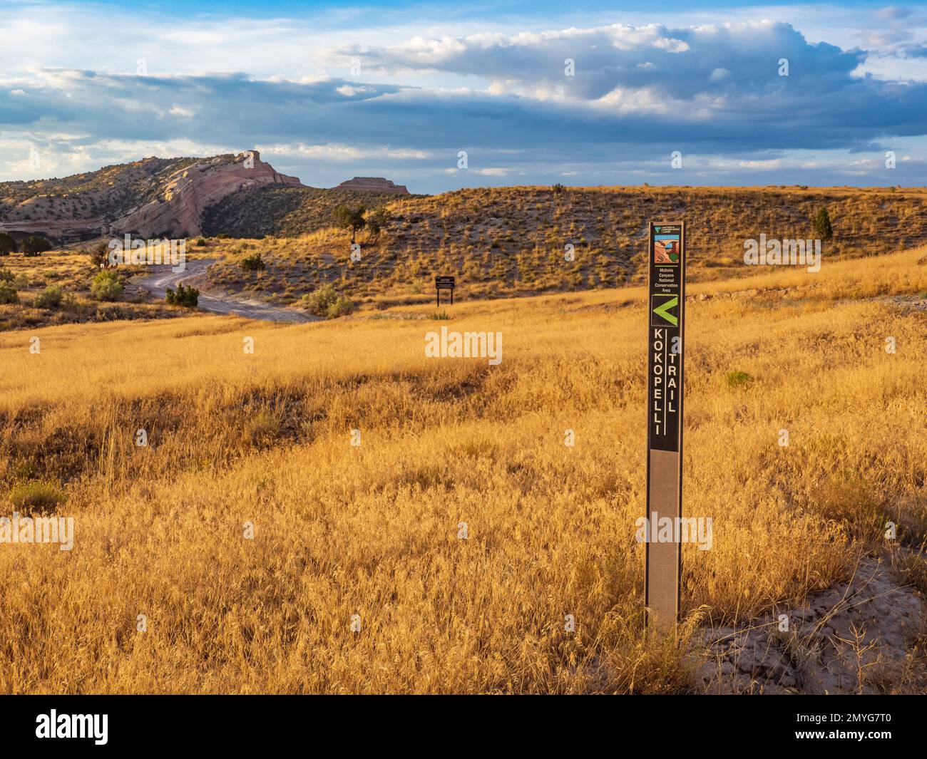 Kokopelli Trail, Rabbit Valley, McInnis Canyons National Conservation ...