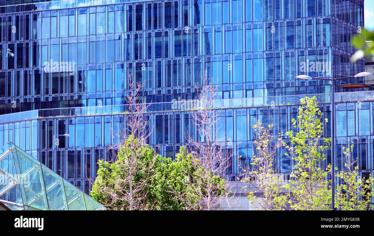 Eco architecture. Green tree and glass office building. The harmony of ...