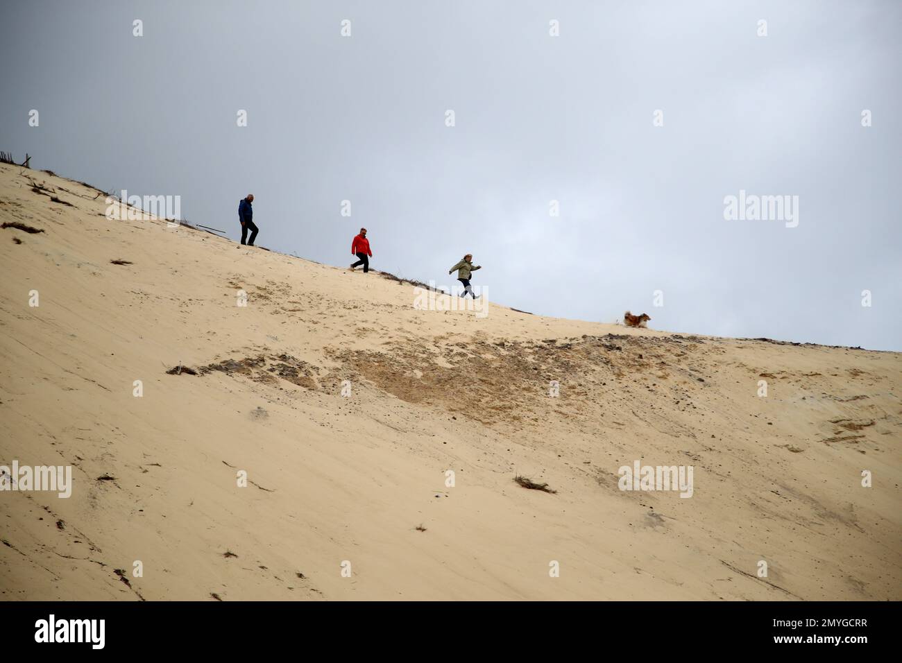 People run down the Great Dune of Pyla near the town of Arcachon ...