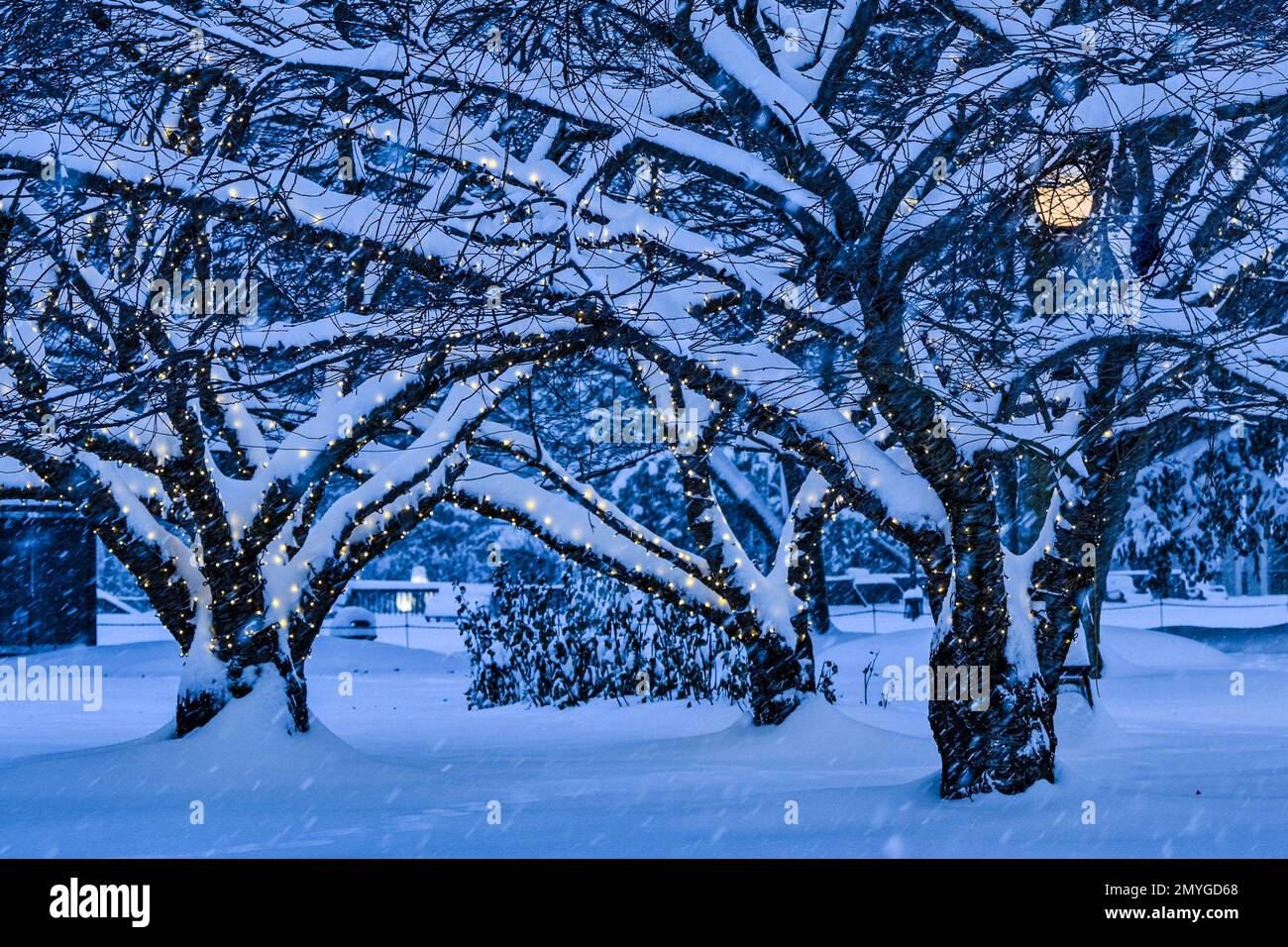 Fairmont empress hotel grounds hi-res stock photography and images - Alamy
