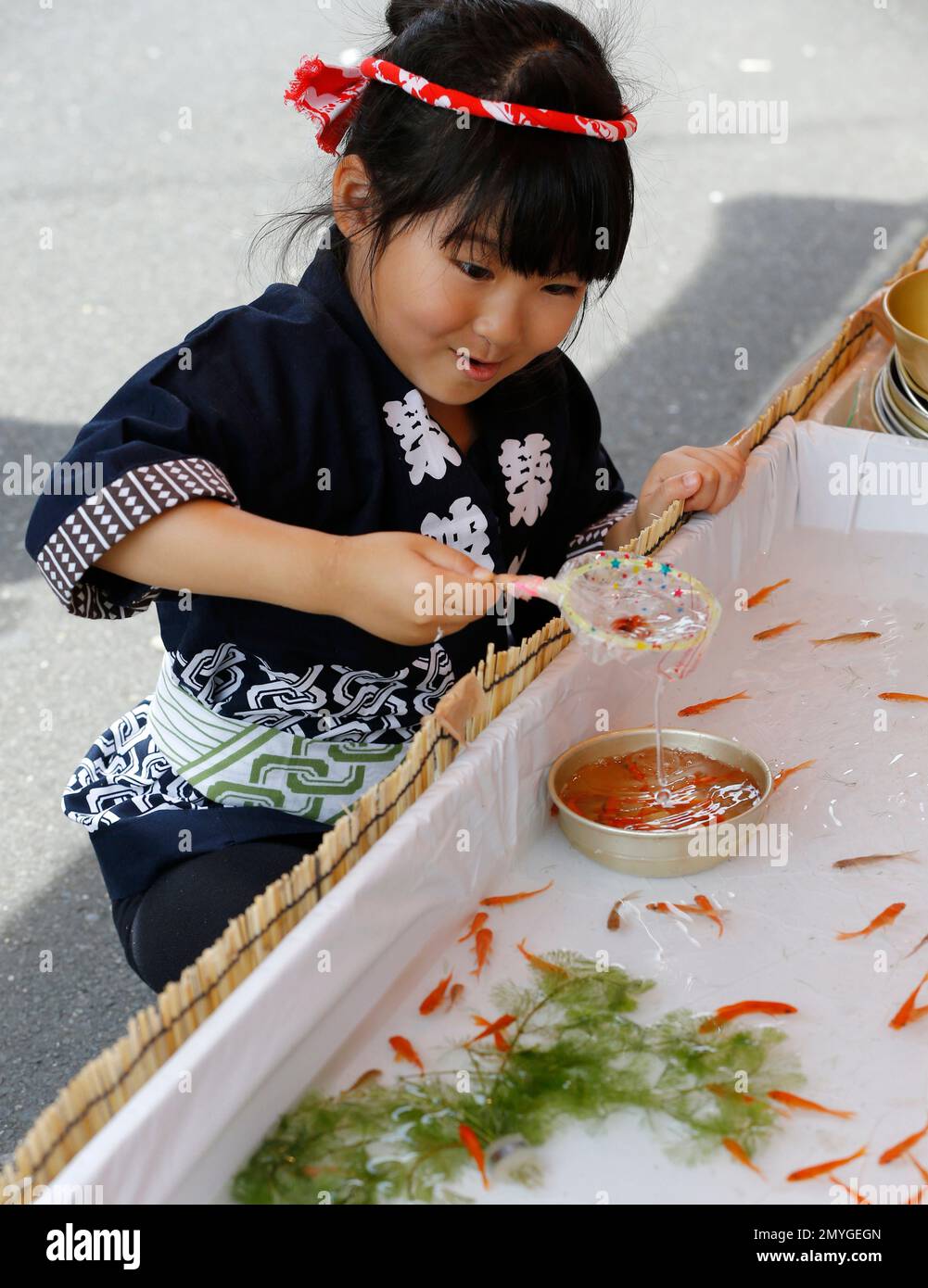 A girl wearing a traditional Japanese festival costume scoops up a ...