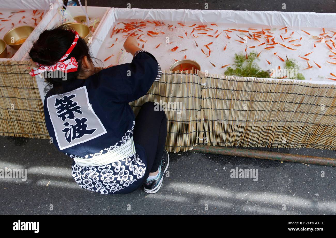 A girl wearing a traditional Japanese festival costume tries to scoop ...