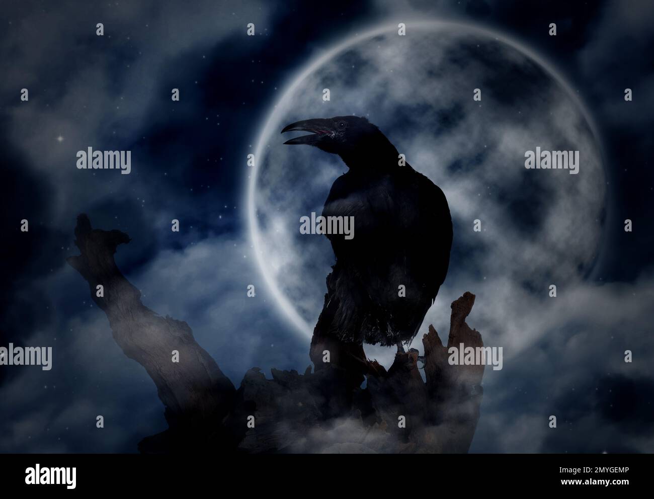 Creepy black crow croaking on old tree under full moon at night Stock ...
