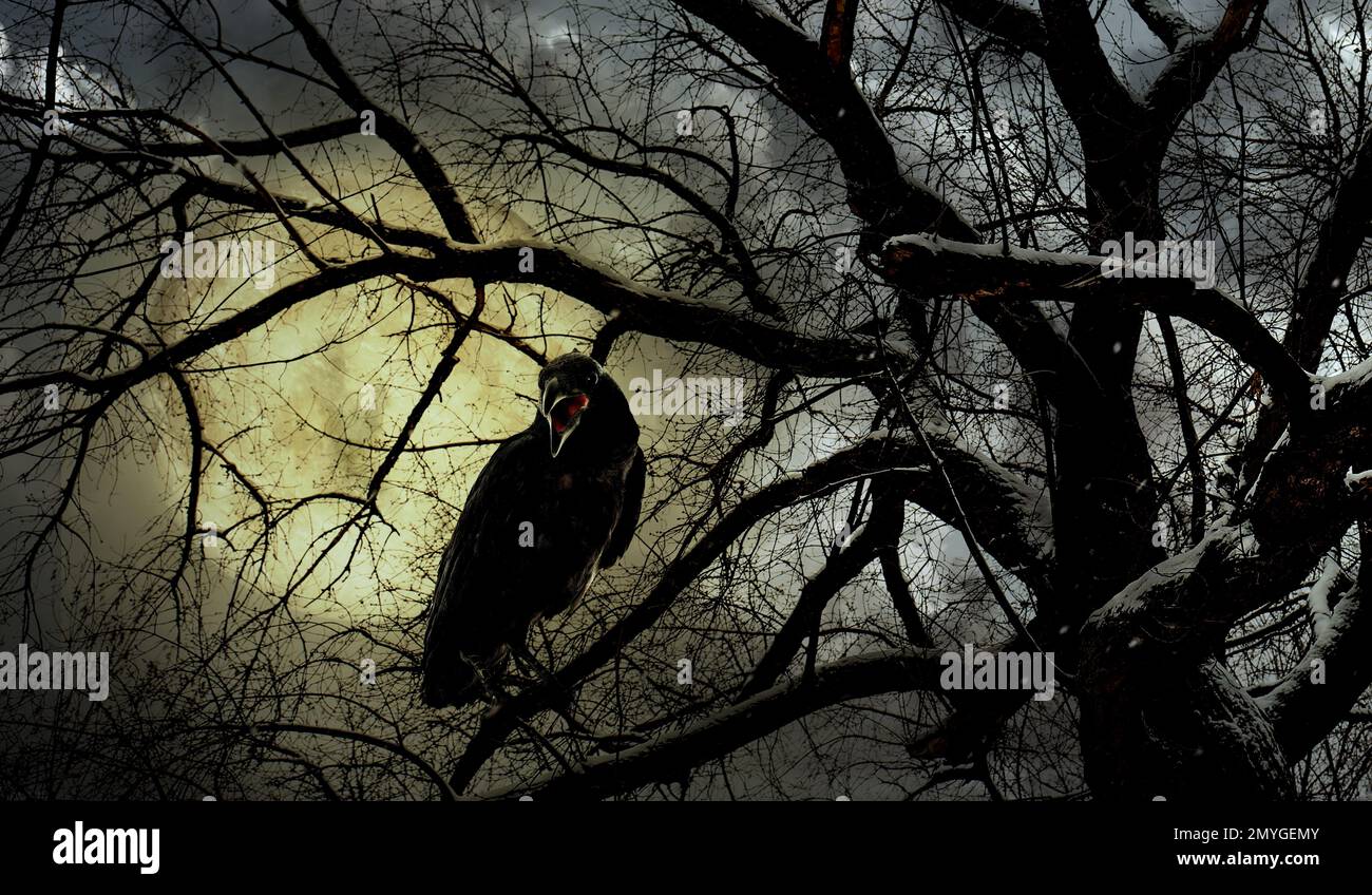 Scary mystery creepy spooky aerial hi-res stock photography and images ...