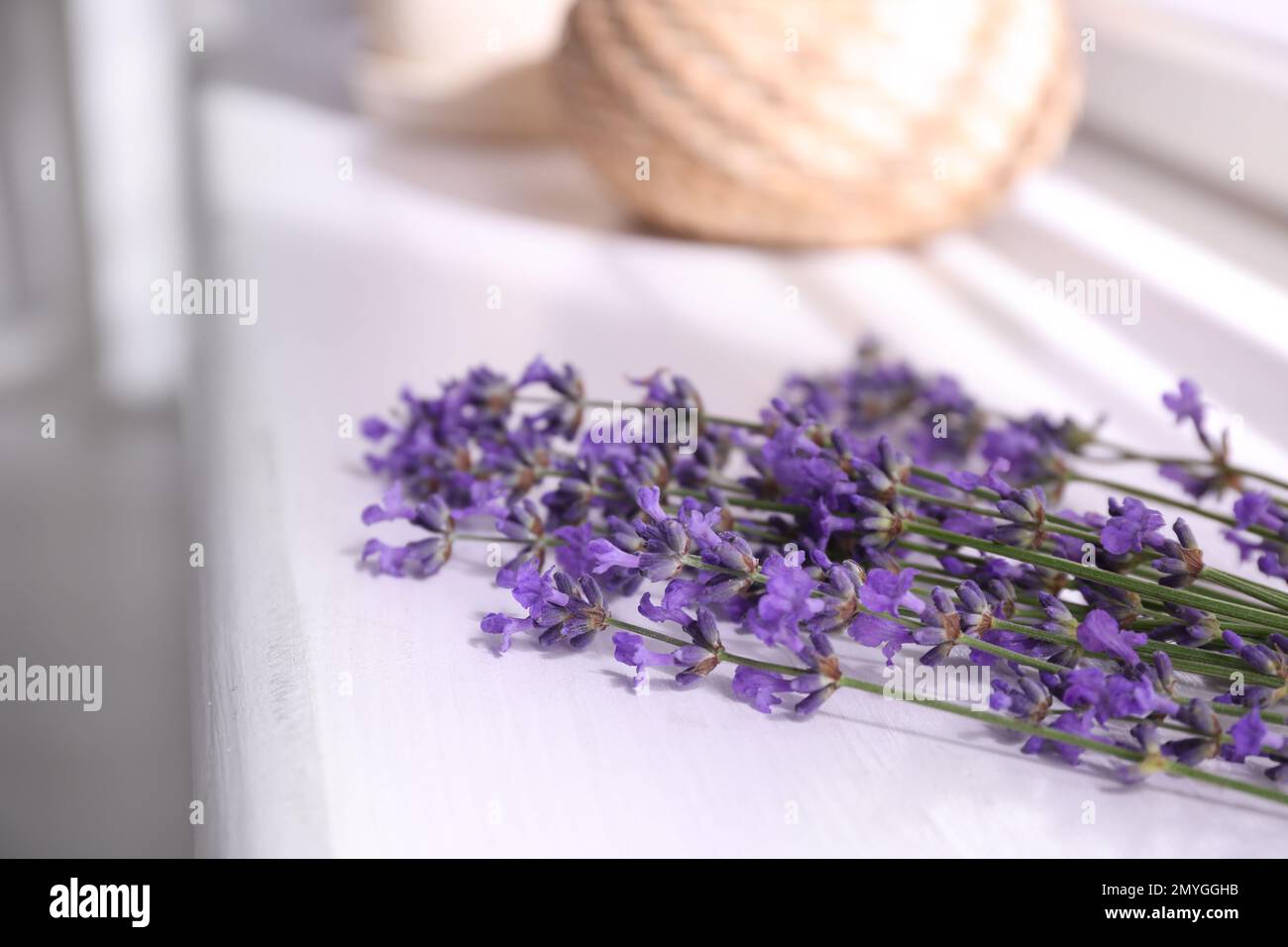 Beautiful lavender flowers on window sill indoors, closeup Stock Photo ...