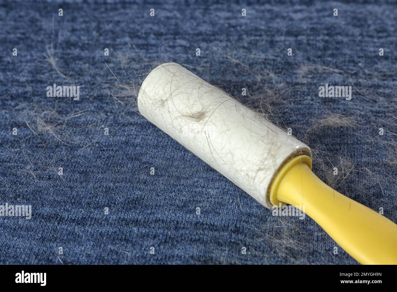 Lint roller on blue fabric covered with hair Stock Photo - Alamy