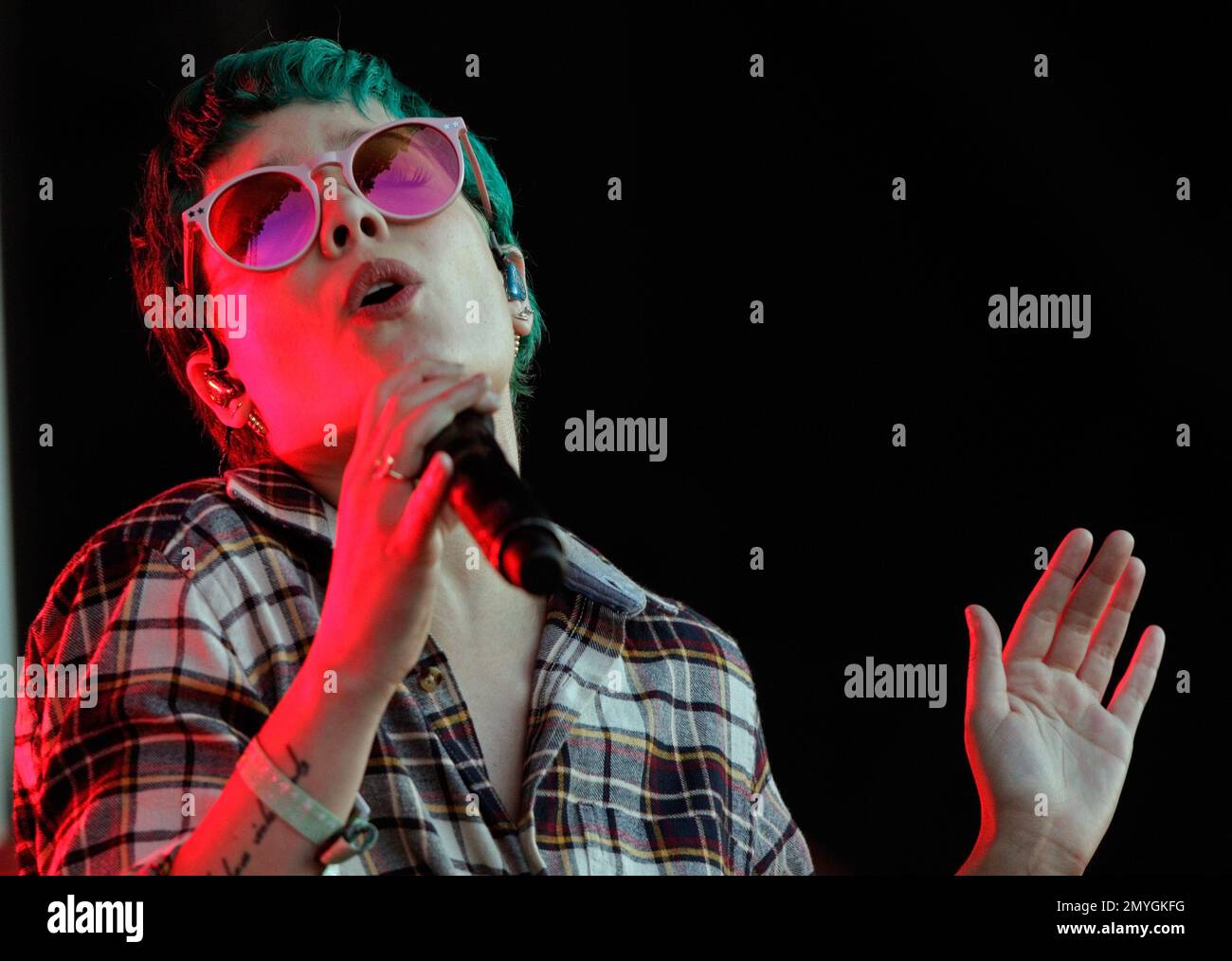 Ashley Frangipane, known as Halsey, performs at the Bonnaroo Music and ...