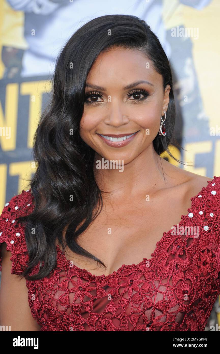 Danielle Nicolet attends the LA Premiere of "Central Intelligence" held ...