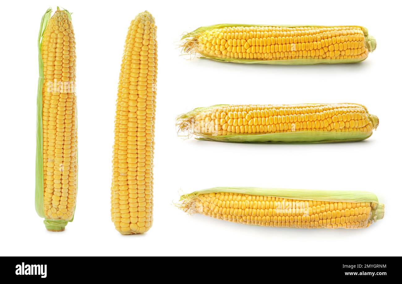 Corn cobs set Cut Out Stock Images & Pictures - Alamy