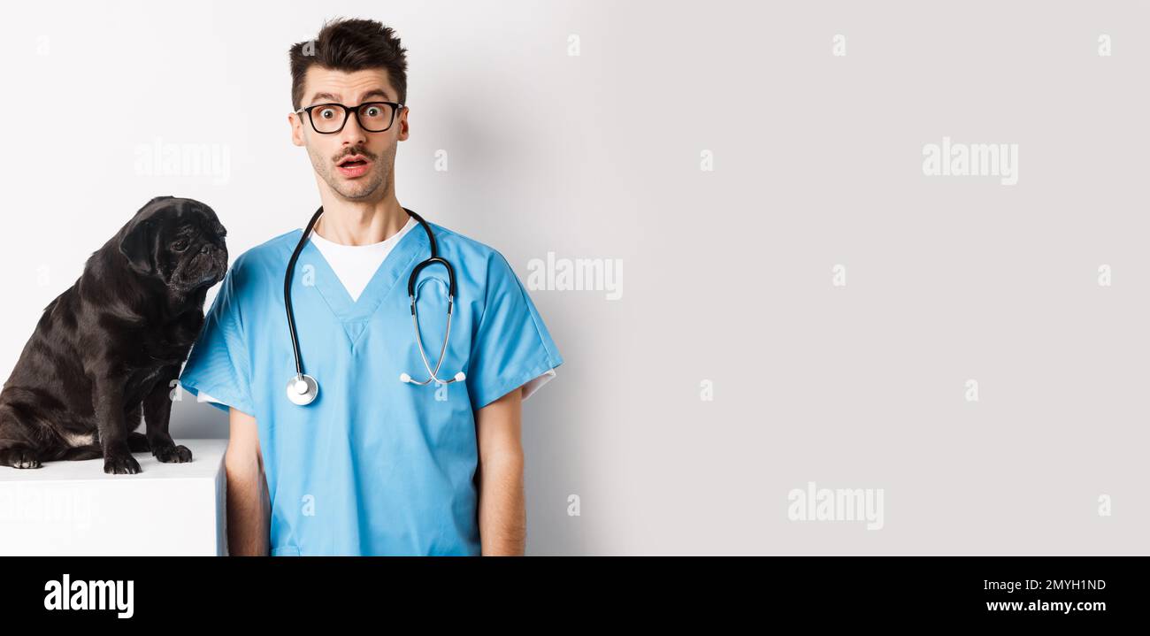 Handsome doctor veterinarian staring at camera surprised, small black ...