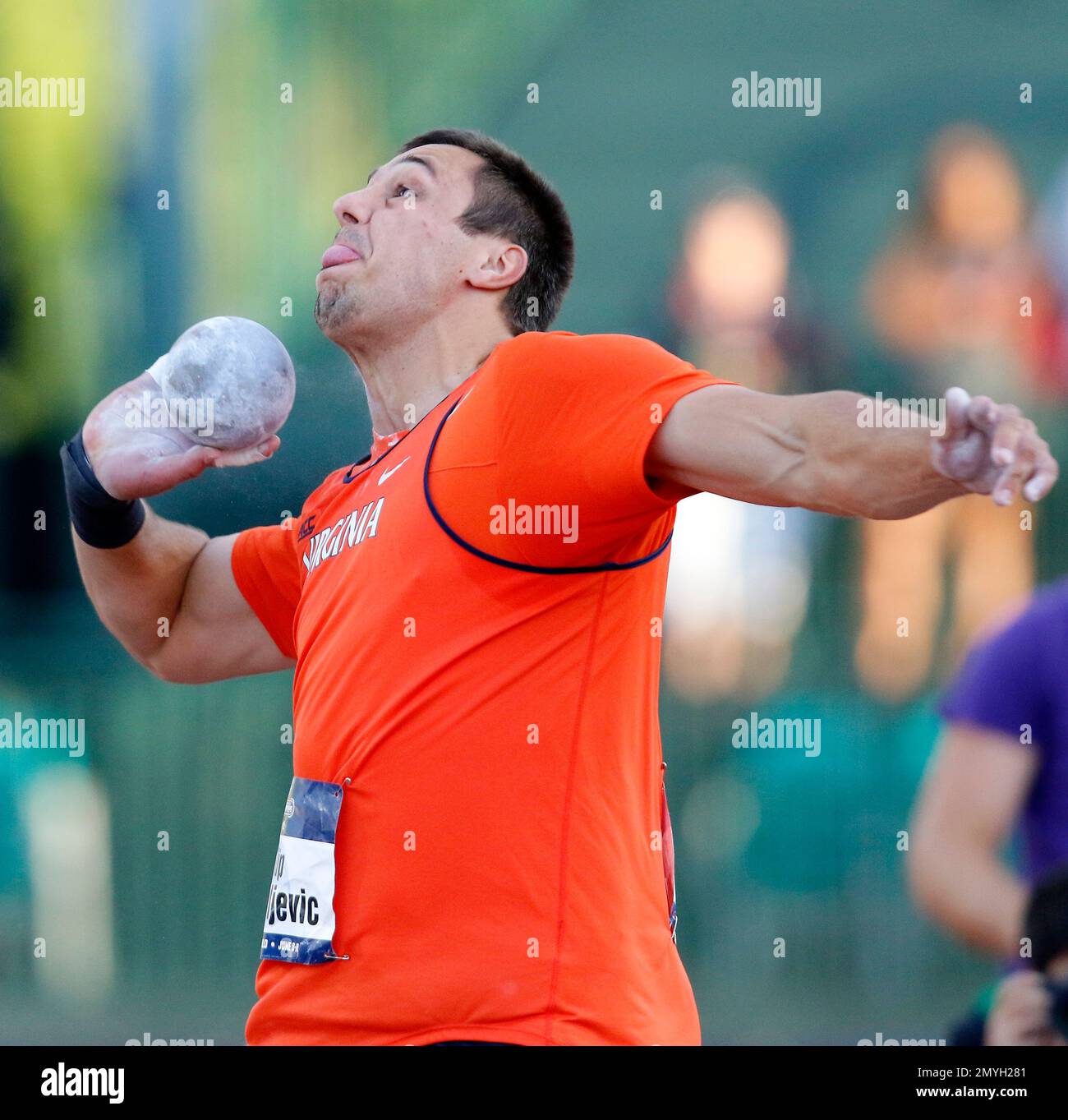 Virginia's Filip Mihaljevic competes in the shot put at the NCAA ...