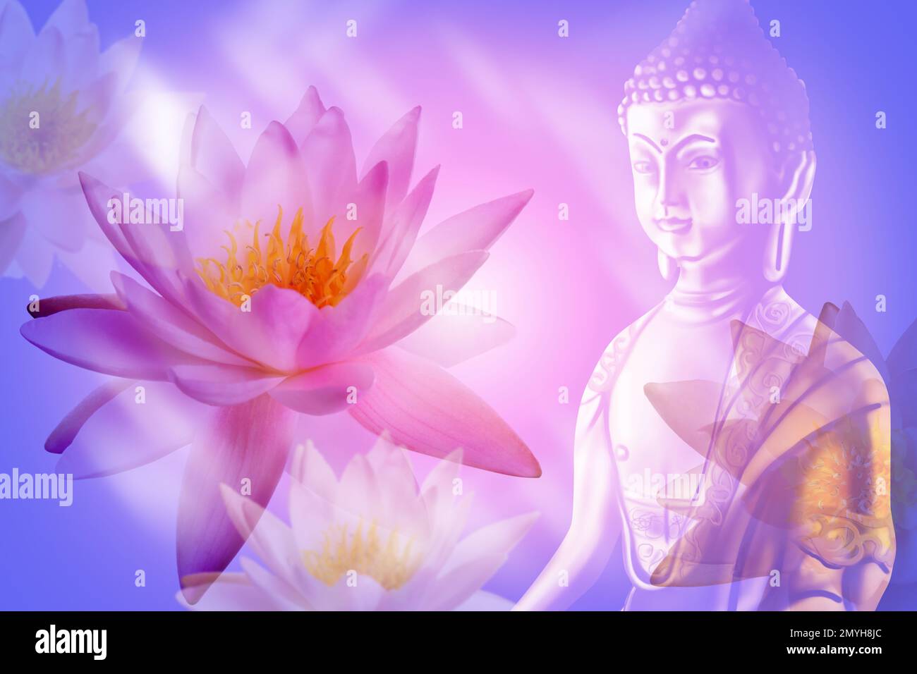 Lotus flowers effect hi-res stock photography and images - Alamy
