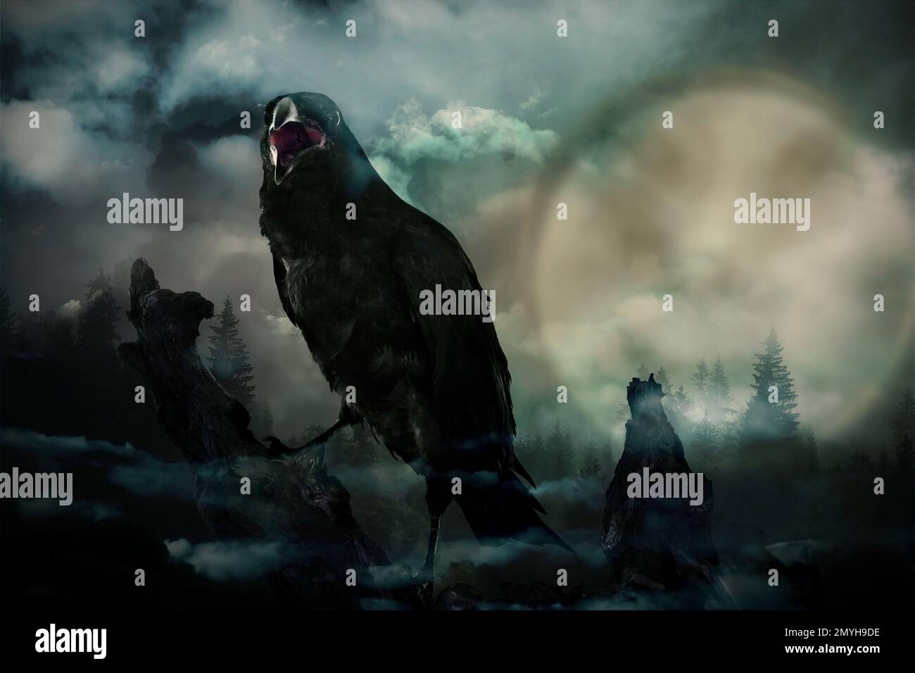 Creepy black crow croaking in misty dark forest on full moon night ...