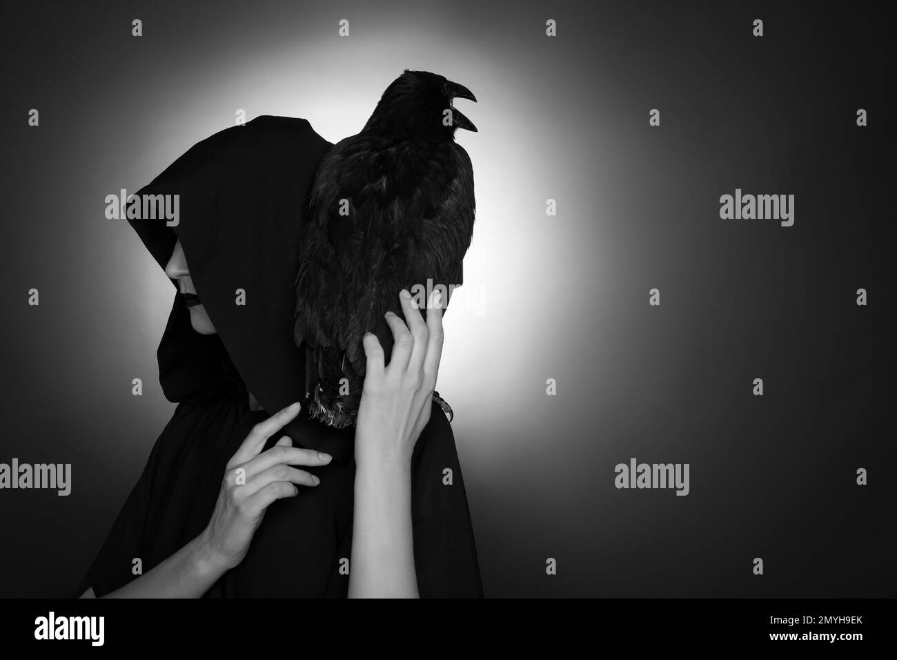 Mysterious witch with raven on dark background, space for text. Black ...