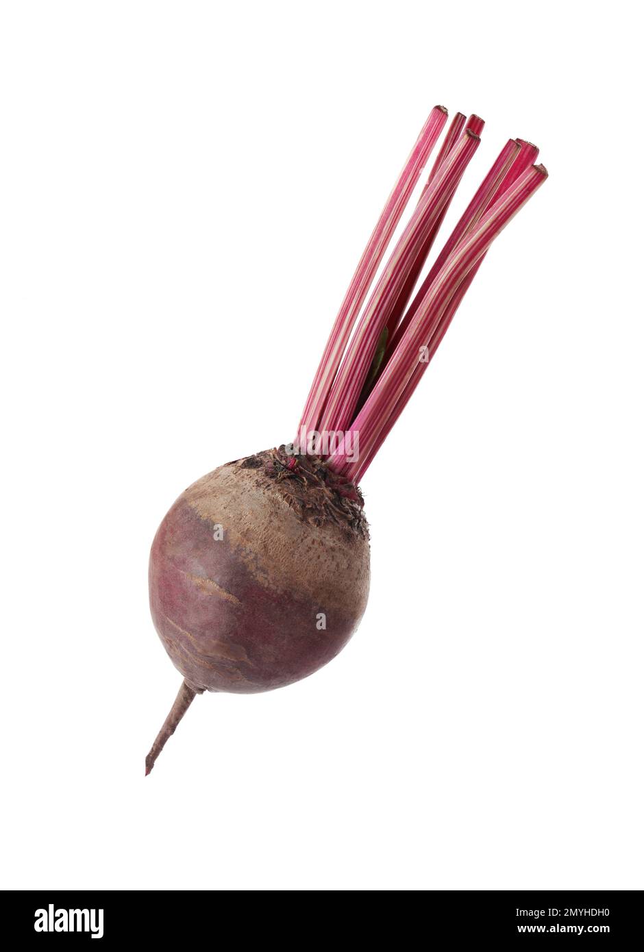 Beetroot sample hi-res stock photography and images - Alamy