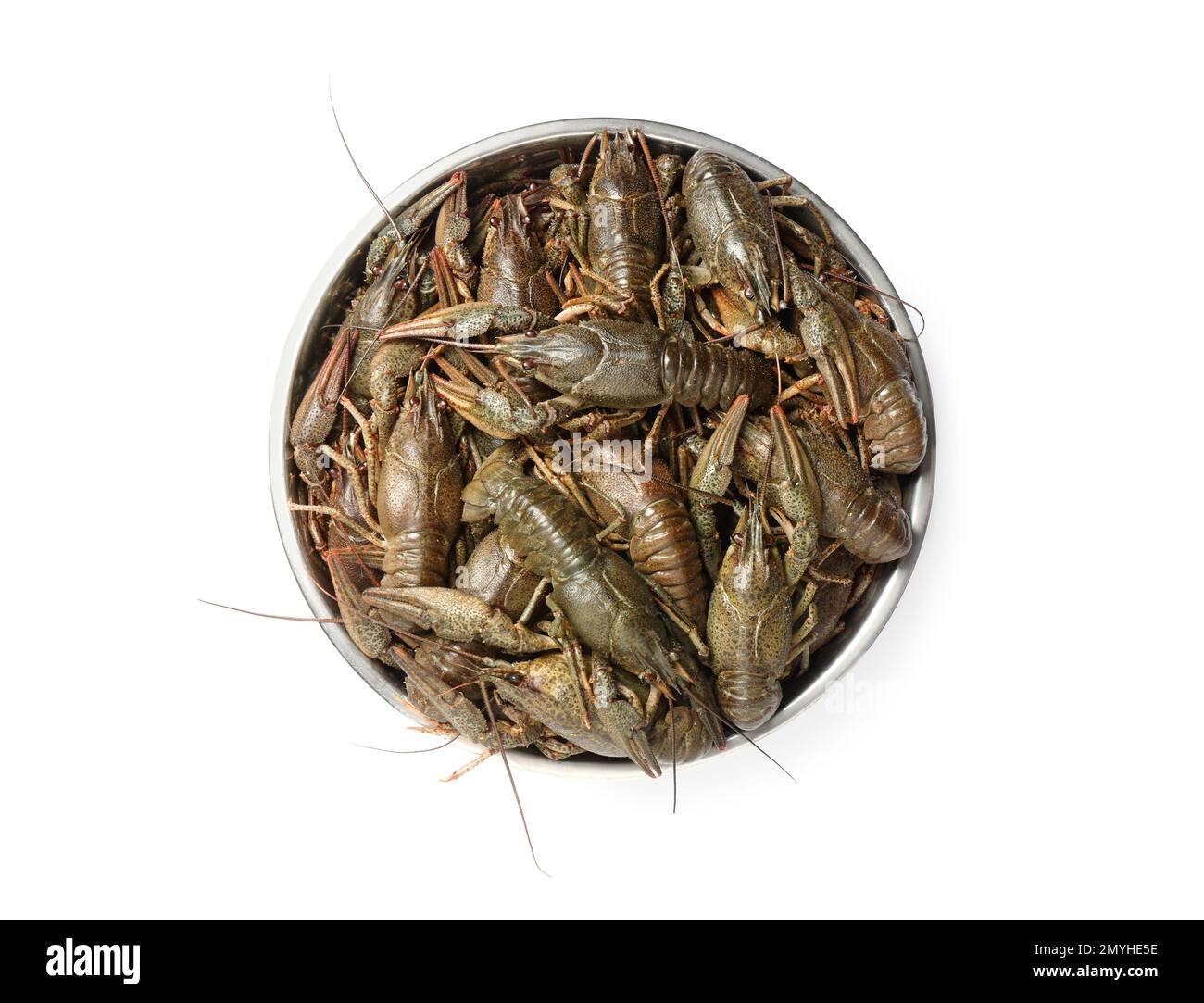 Fresh raw crayfishes isolated on white, top view. Healthy seafood Stock ...