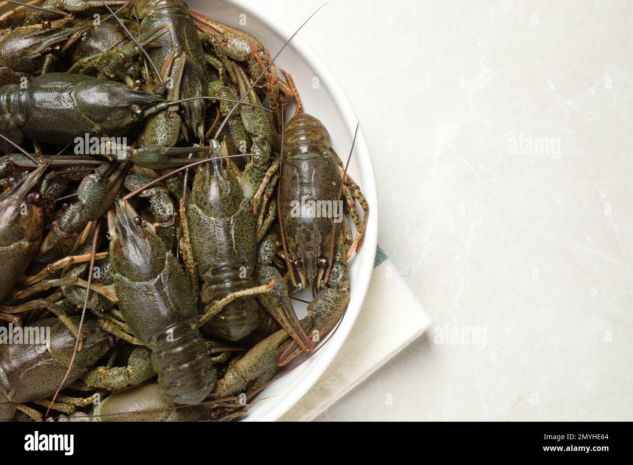 Fresh raw crayfishes on marble table, top view. Space for text Stock ...